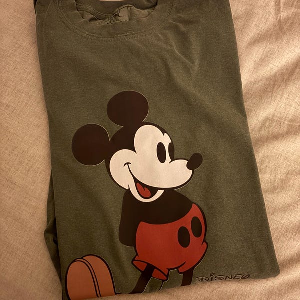 Disney Mouse and Friend T-shirt, Mouse Shirts, Vacation Shirt, Park ...