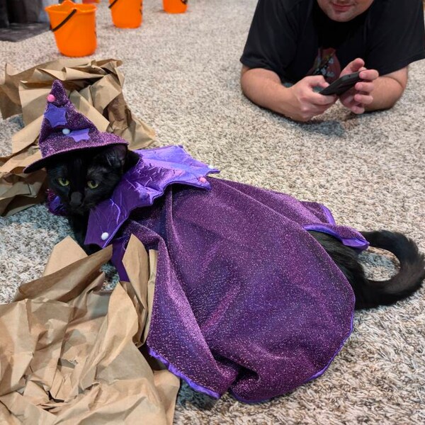 Halloween Pet Wizard Costume: Cape and Star Hat - Etsy