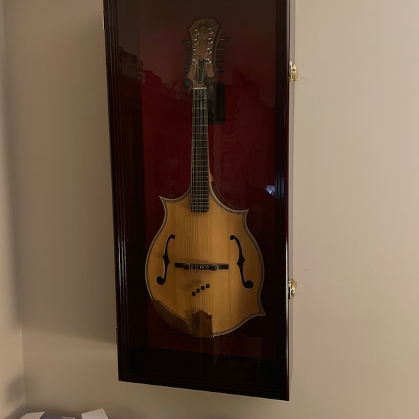 Violin Display Case Cabinet Wall Rack Hanger for Instrument and Bow W ...