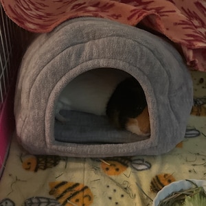 Large Fleece Coffin Bed, Drac Inspired Design, Halloween Pet Bed, Cat ...