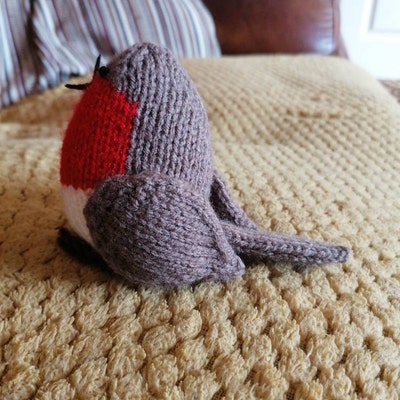 Albert the Robin Knitting Pattern Easy Knit for Beginners - Etsy