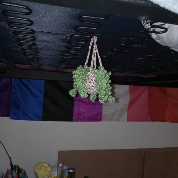 Car Fern Crochet PATTERN by Pamelambie Car Plant - Etsy