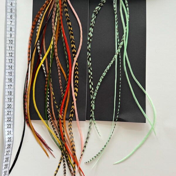 Hair Feathers, 6 Hair Feather Extensions, Pick Your Length up to 16 ...
