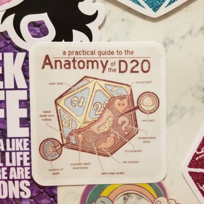 Anatomy of the D20 Sticker Dnd Gift GM Dungeons & Dragons Dice Natural ...