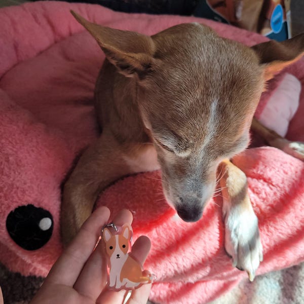 Blue Ringed Octopus Acrylic Glitter Keychain Kawaii Chibi Marine Animal ...