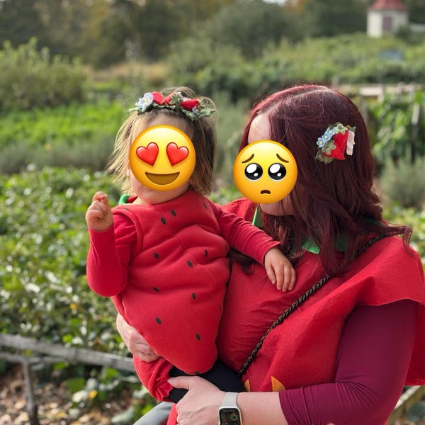 Goose Birthday Felt Banner, Pink Garland, Silly Little Goose, 1st ...