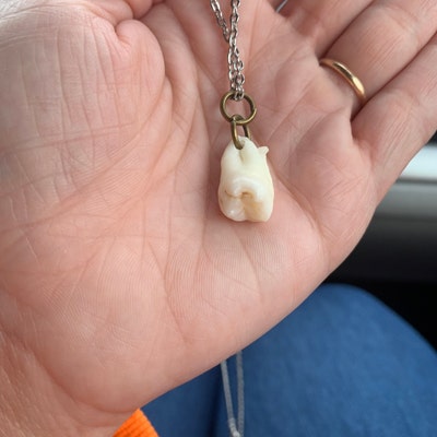 Tooth Fairy Series: One Real Human Tooth Pendant Necklace - Etsy UK