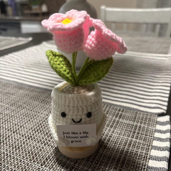 Cute Crochet Positive Octopus and Emotional Support Octopus Gift ...