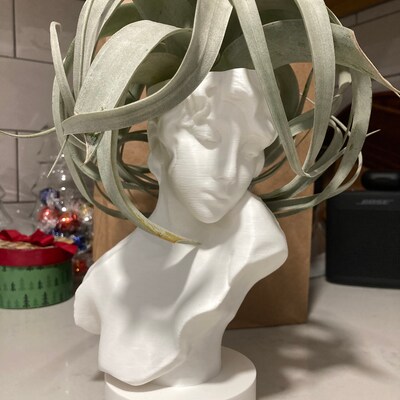 Sappho Bust Planter Pot for Plants Greek Goddess Sappho's Head Head ...