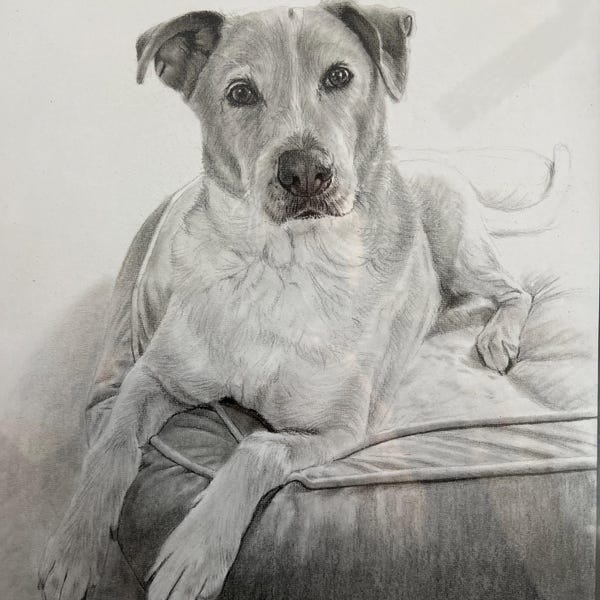 Custom Pet Portrait, Pet Memorial, Gifts, Dogs, Dog Drawing, Charcoal ...