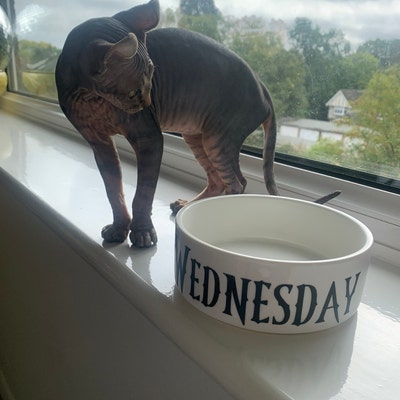 Magical Purple Moon Cat Toy With White Embroidered Stars, Witch Catnip ...