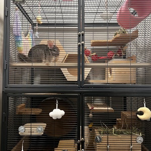 Full Length Cage Ledges for Full Cheeks Chew Proof City Loft - Etsy