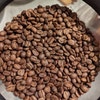 8 Pounds Green Coffee Beans Sample Pack Ultimate Sample Package 1 Pound ...