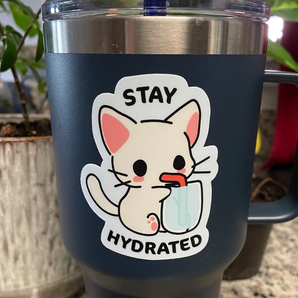 Stay Hydrated Matte Vinyl Sticker, Water Bottle Sticker, Car Decal ...