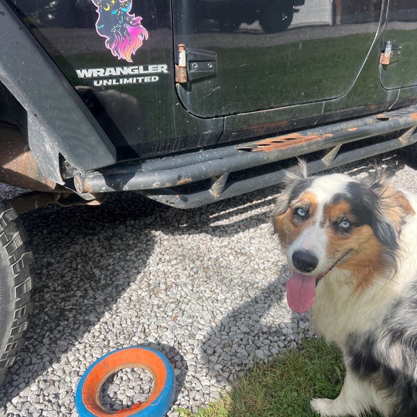 Librafluid/flux Flag, LGBTQIA Pride Flag Full Color Static Window Cling ...