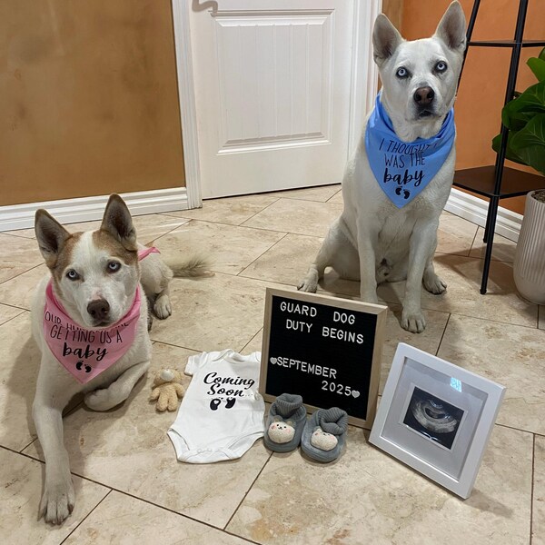 My Parents Are Getting Married Dog Bandana - Engagement Dog Bandana ...