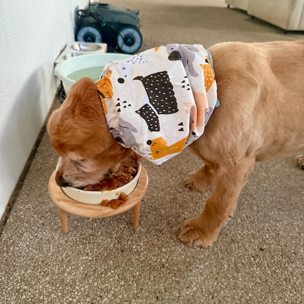 Cotton Dog Snood | Green Summer Snood for Dog | Handmade Cocker Spaniel ...