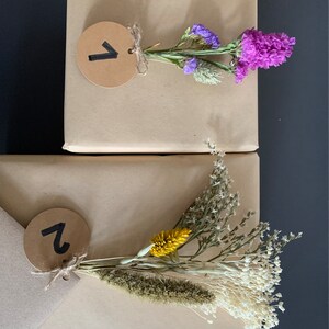 Dry and Preserved Botao Flowers, Dry Babala, Dry Worm Grass in Fuchsia ...