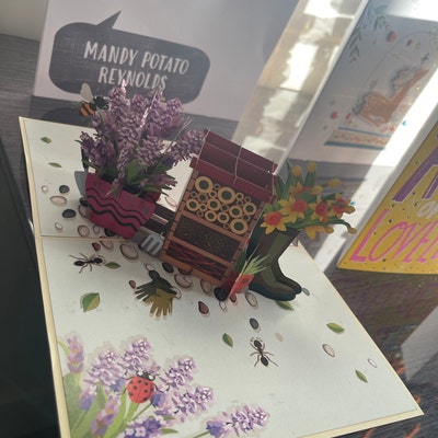 Robin Pop up Card 3D Robin Card Bird Watching Pop up Card - Etsy