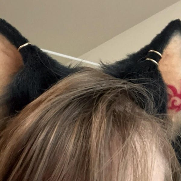 Made to Order Sonic & Shadow Ears – Cosplay Headband Inspired by Sonic ...