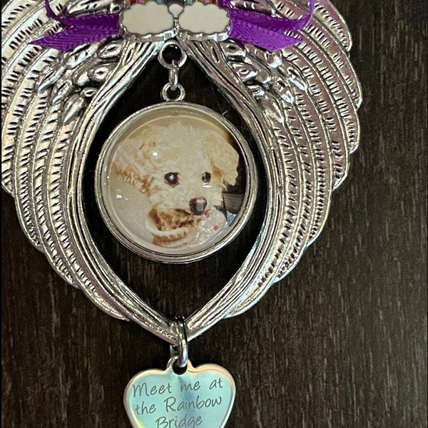 Rainbow Bridge Lock of Fur Necklace Pet Memorial Floating Locket ...
