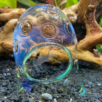 Swiss Dome Fish Tank Functional Art - Etsy