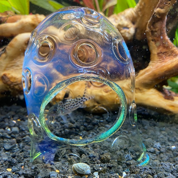 Swiss Dome Fish Tank Functional Art - Etsy