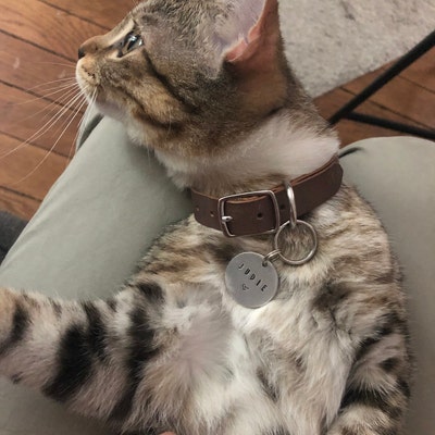 Personalized Cat Collar Leather Cat Collar Custom Cat Collars - Etsy