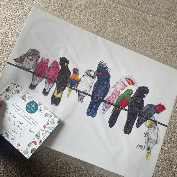 Australian Native Seed Pod Poster DIGITAL DOWNLOAD - Etsy