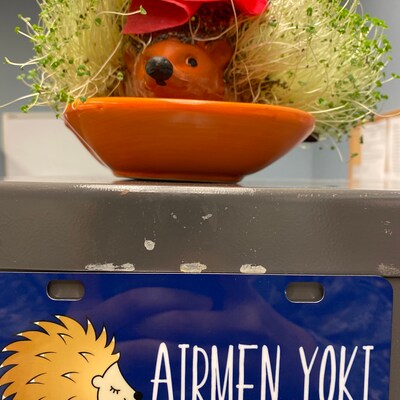 Personalized Hedgehog Name Plate / Hedgehog Sign / Cage Accessory ...