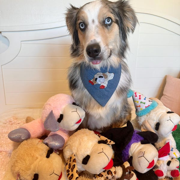 Fall Coffee Mugs, Curved Neck Snap on Dog Bandana, Fall Checkered Pet ...