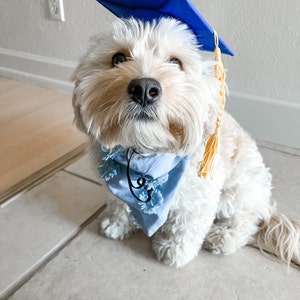 Dog Top Hat Wedding Top Hat Dogs Party Dog Hat Pet Hat Dog - Etsy