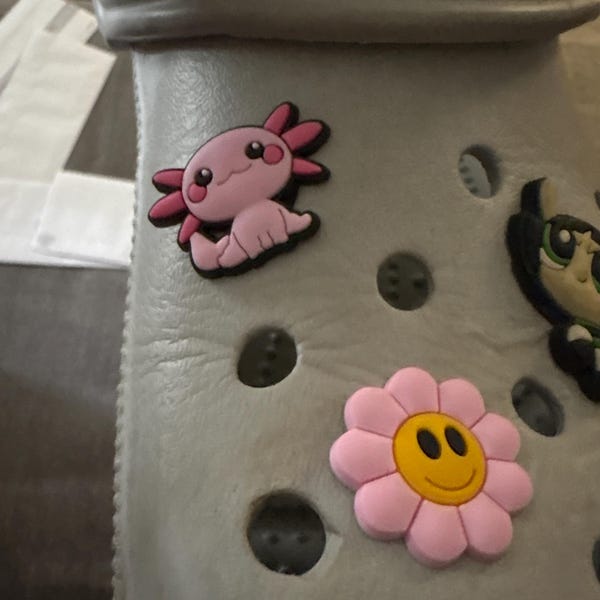 Shark Shoe Charms Bundle – Ocean-themed Fun Charms for Kids and Beach ...