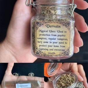 Vervain Herb & Jar - Etsy