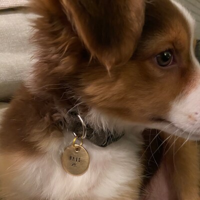 Simple Custom Hand Stamped Dog Tag, Dog Tags for Dogs, Pet Id Tag ...