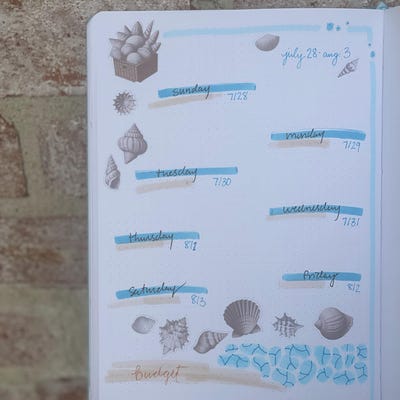Seashells Sticker Set Tiny and Bigger Seashells, Journal Stickers ...