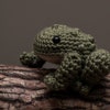 Toad Familiar Crochet Pattern - Etsy