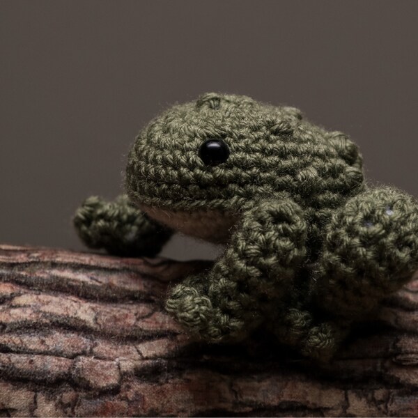 Toad Familiar Crochet Pattern - Etsy
