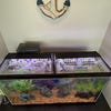 NEW Mini Riser, Fluval Flex Lid Risers, 2" Lid Risers for All Fluval ...
