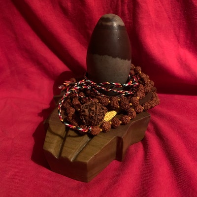 Conch Shell Puja-blowing Shankh Sound Brings Prosperity Positivity ...