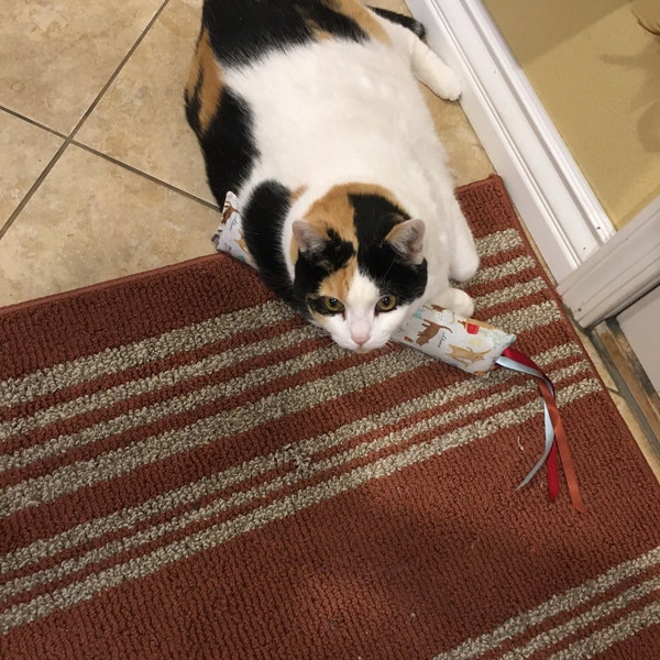 Large Cat Kicker Toy With Ribbons. 12 to 13 Long. Quality Catnip Silver ...