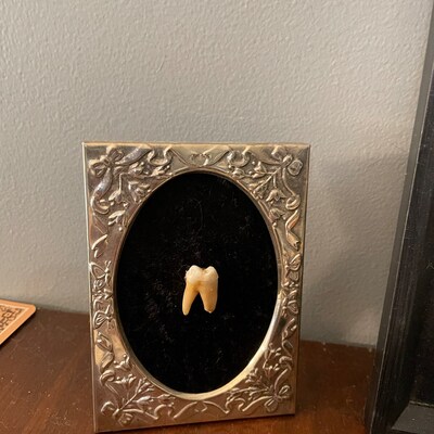 Handmade Ornate Oval Plaster Snake Serpent Frame - Etsy