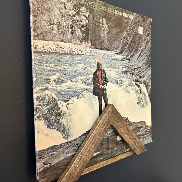 Vinyl Record Storage Shelf | Wall Mounted Record Holder [aspen] - Etsy