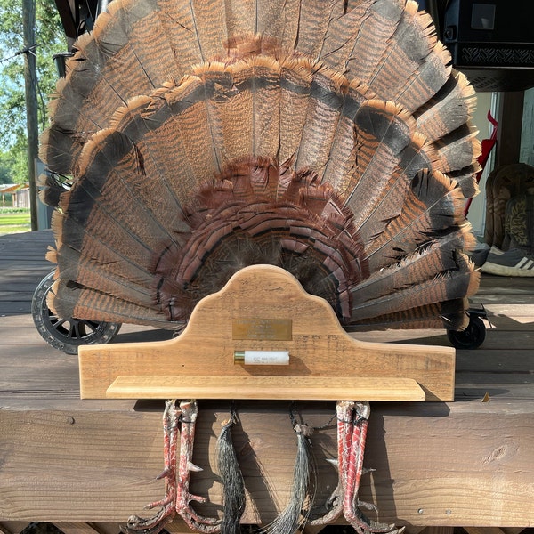 Multi Beard Turkey Fan Display WITH SHELF - Etsy