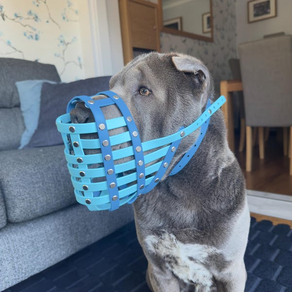 Custom Made to Measure Colourful Biothane Dog Muzzle - Ultra Adjustable ...