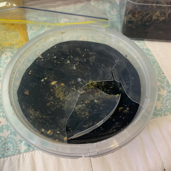 Smiski Display Shelf Stand House - Classic Series Home - Made by CG - Etsy