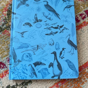 Software Engineering Graph Paper Notebook Engineer Gifts, Computer ...