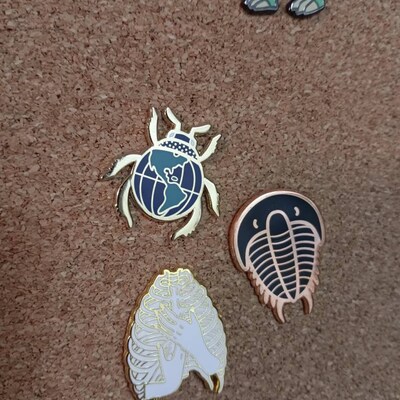 Trilobite Enamel Pin - Etsy