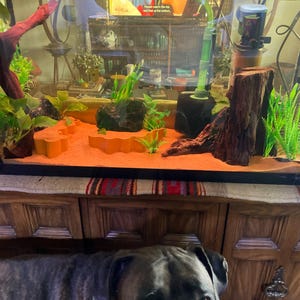 Secret Underground Cave: Perfect Hiding Spot for Shrimps, Betta Fish ...