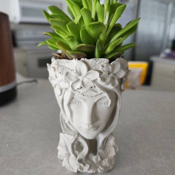 Skull Cement Planter Set Hear No Evil See No Evil Speak No Evil Plant ...